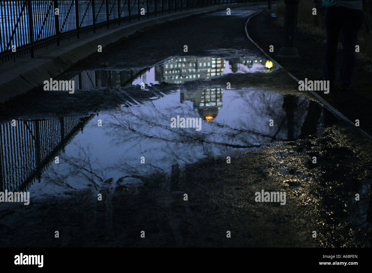 Reflection on puddle in walkway around Reservoir, Central Park, NY ...
