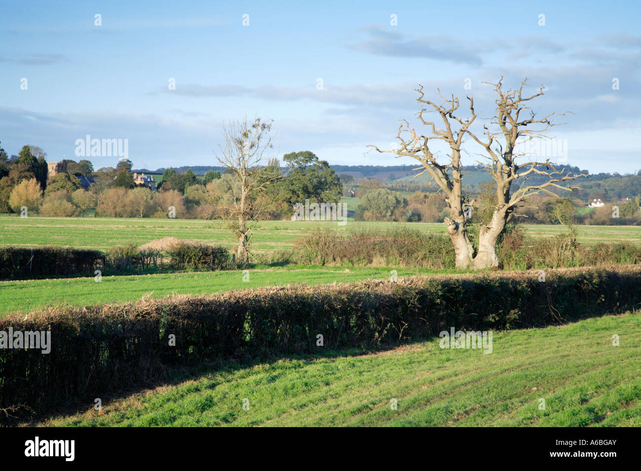 Stunning Herefordshire countryside along Wye Valley walk between Ross ...
