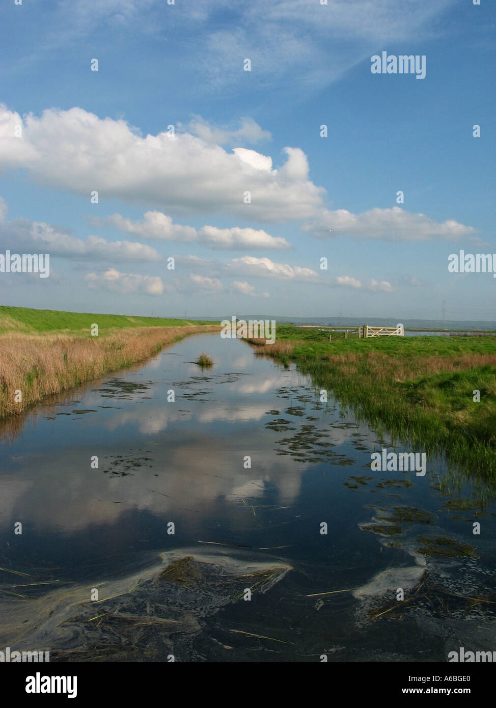Marsh drainage hi-res stock photography and images - Alamy
