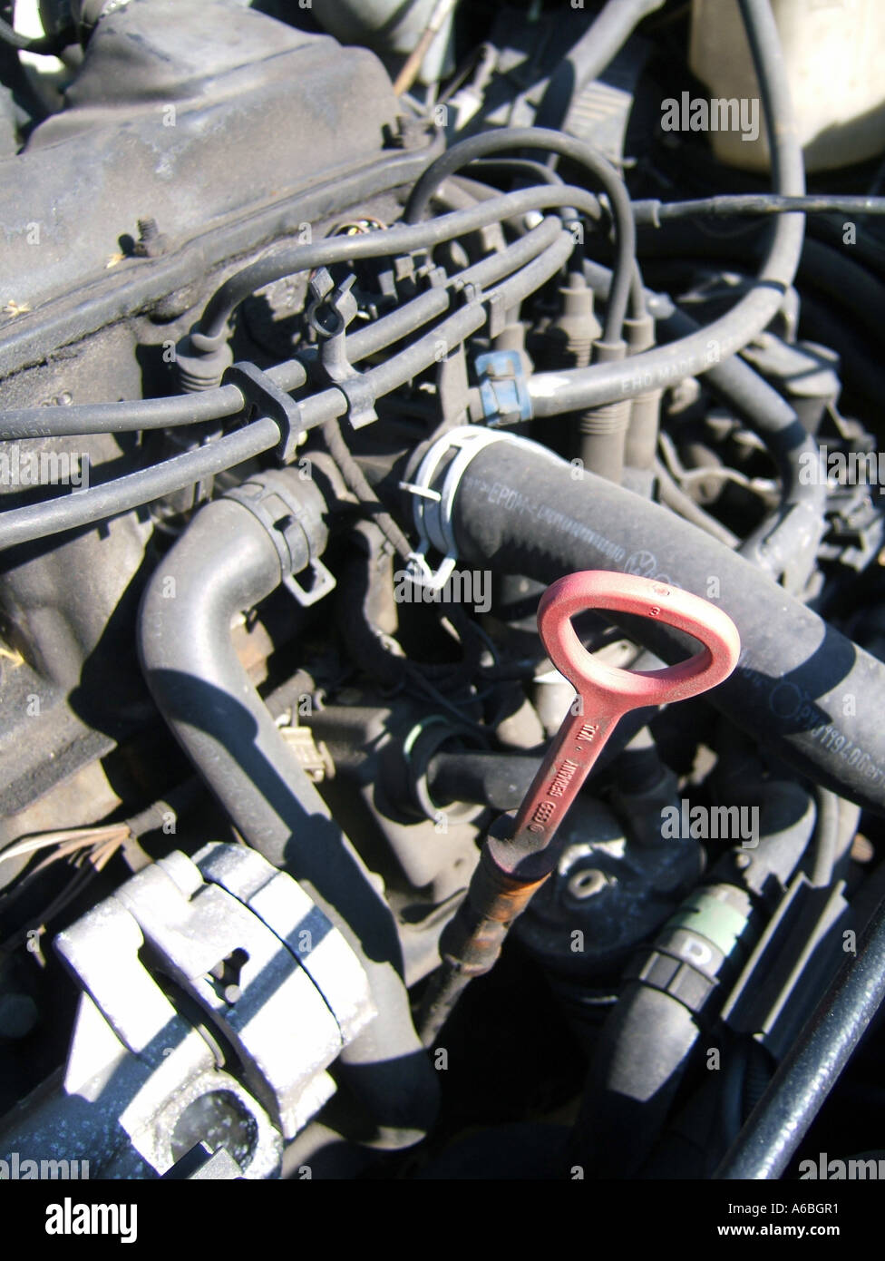 oil dip stick in car engine Stock Photo - Alamy
