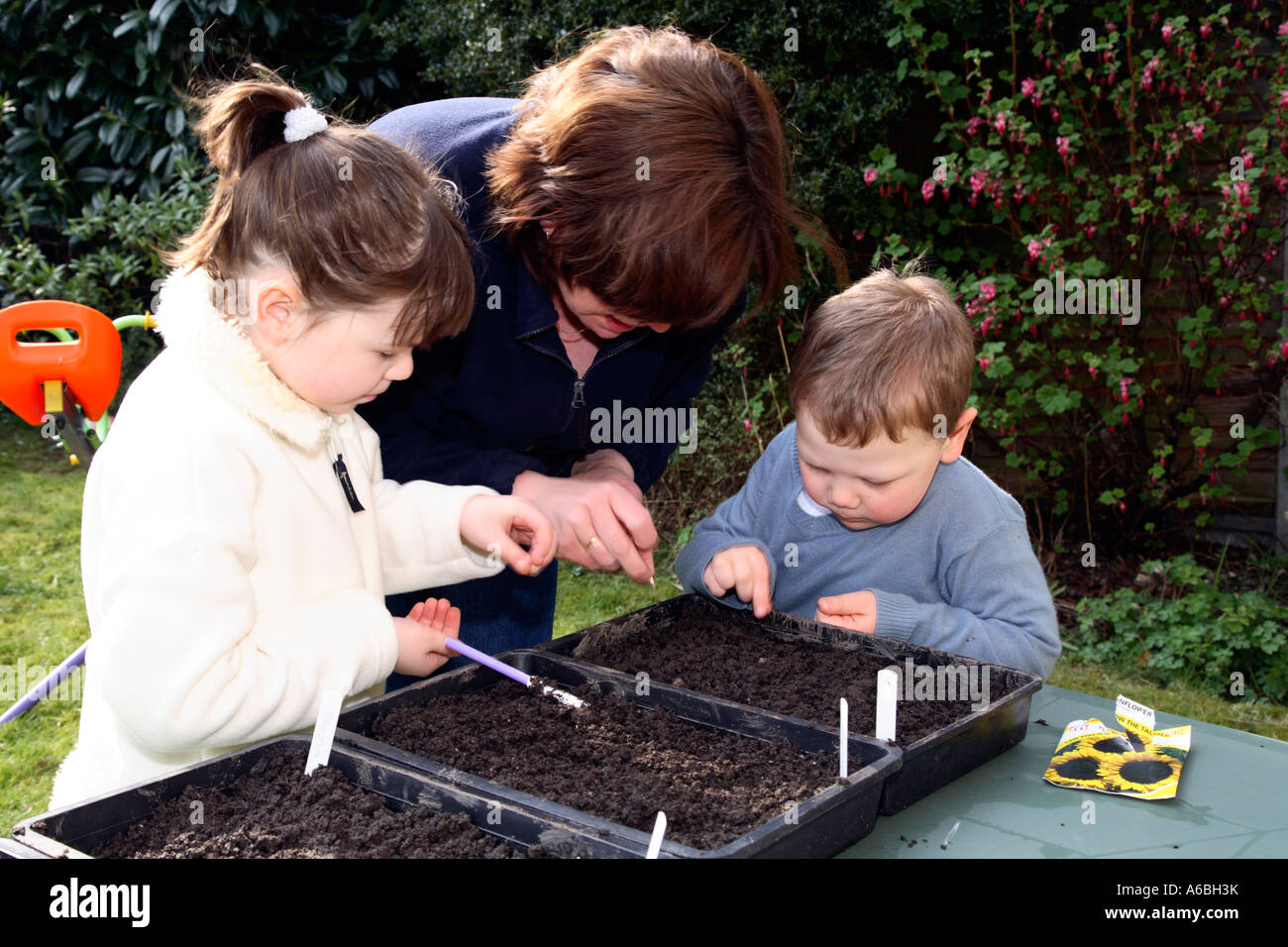 Mother helping young children to plant seeds in seed trays ready to go ...