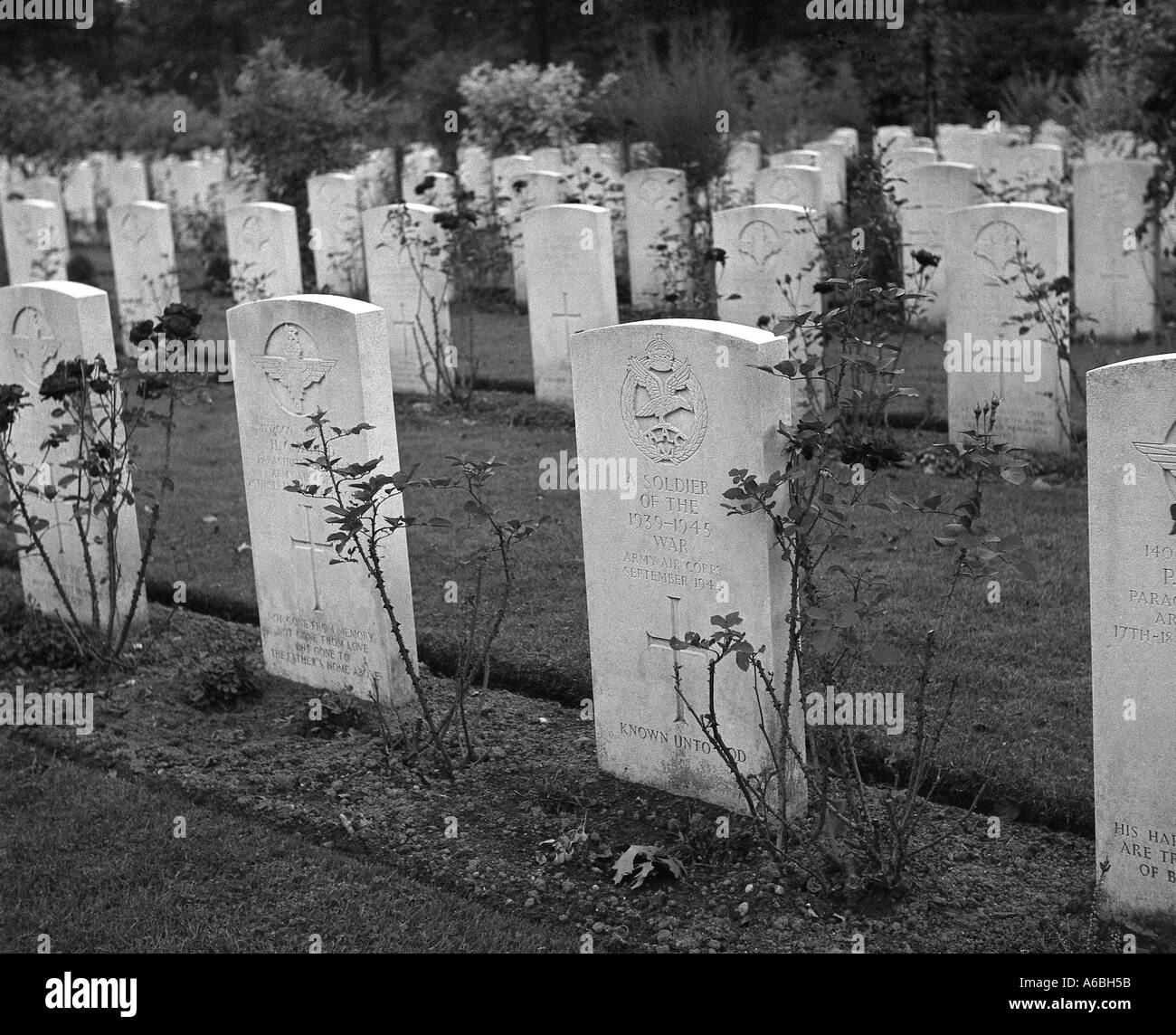 Arnhem war cemetery netherlands hi-res stock photography and images - Alamy