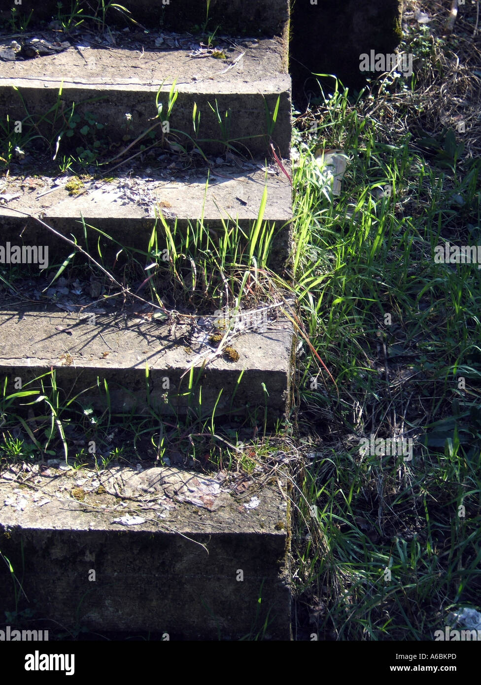 dirty steps with litter Stock Photo - Alamy