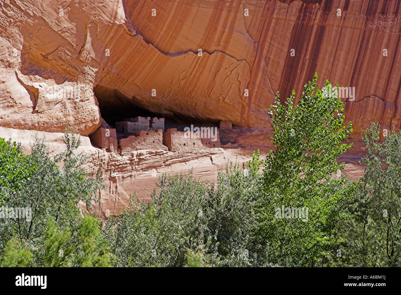 White House Ruins on the cliffs of Canyon de Chelly National Monument ...
