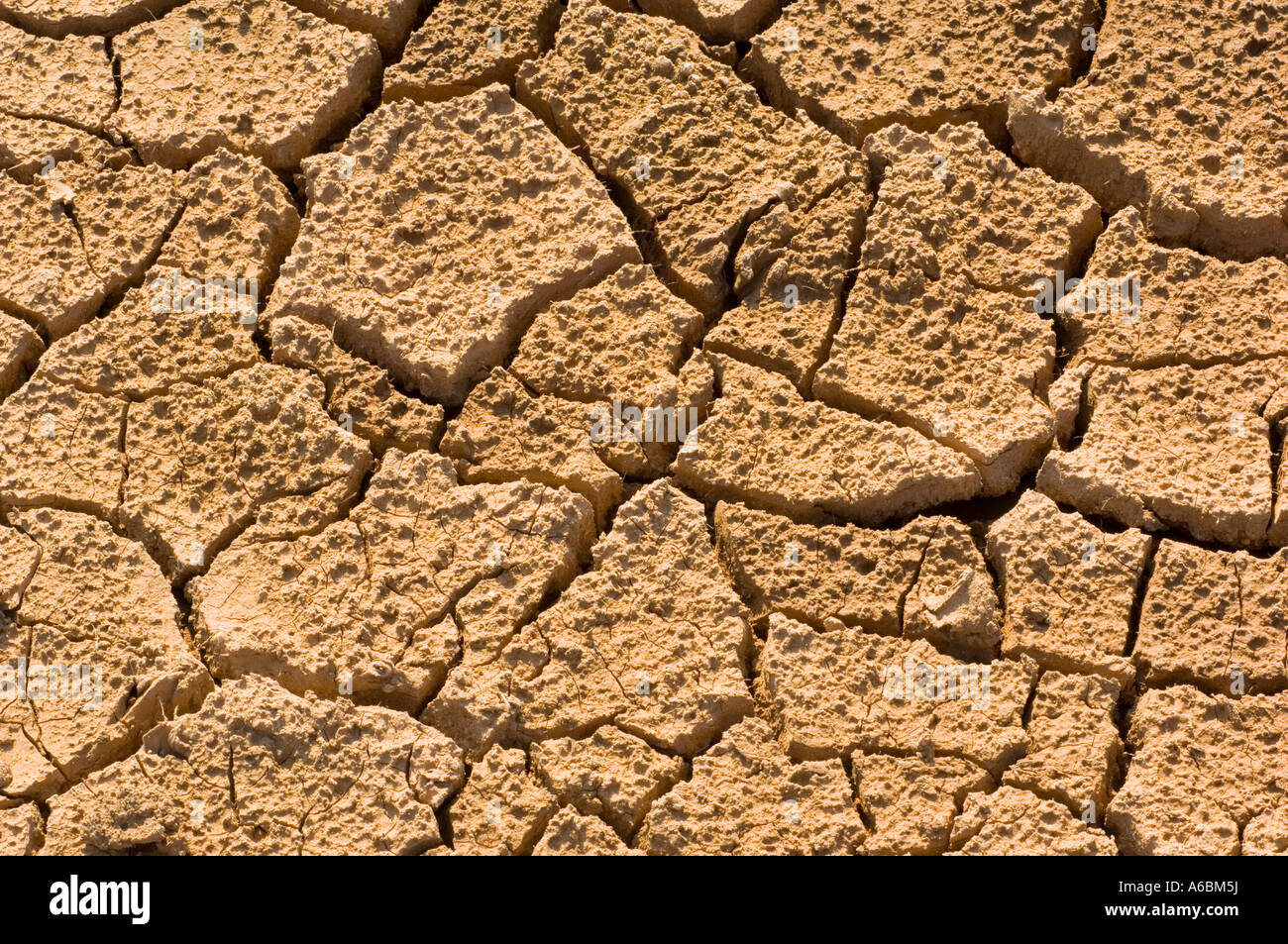 Soil conditions hi-res stock photography and images - Alamy
