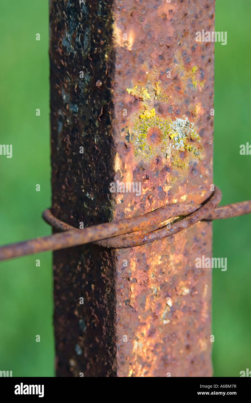 metal stake and iron wire Stock Photo - Alamy