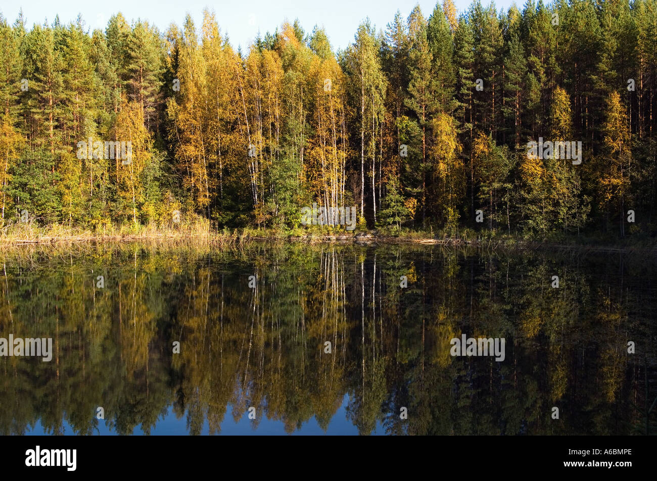 Autumn colours reflected in one of central Finland’s thousands of lakes ...