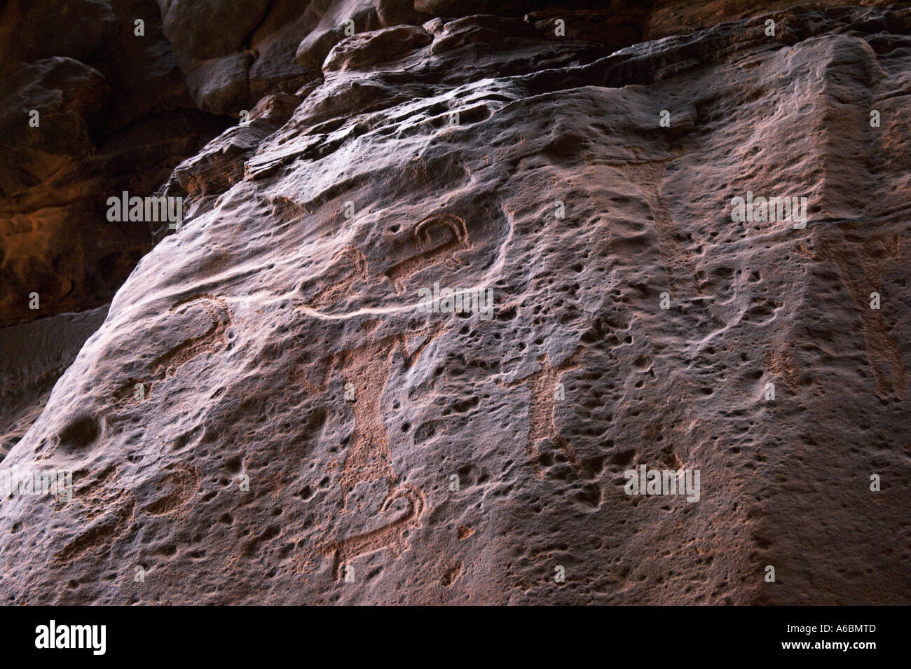 Ancient Rock Inscriptions mostly depicting ibex in Khazali Canyon Wadi ...