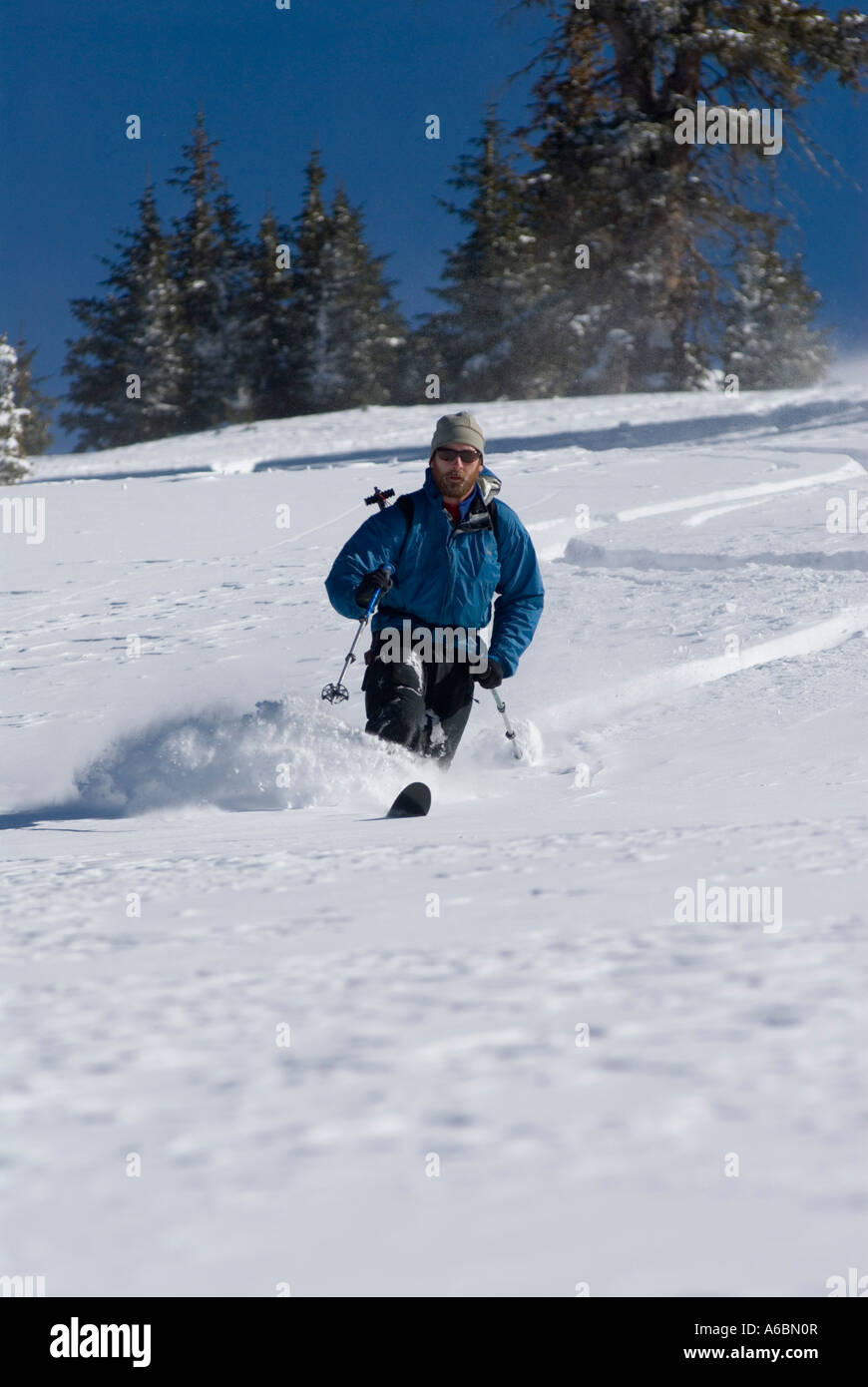 Telemark skiing in backcountry powder near New York Mountain, Colorado ...