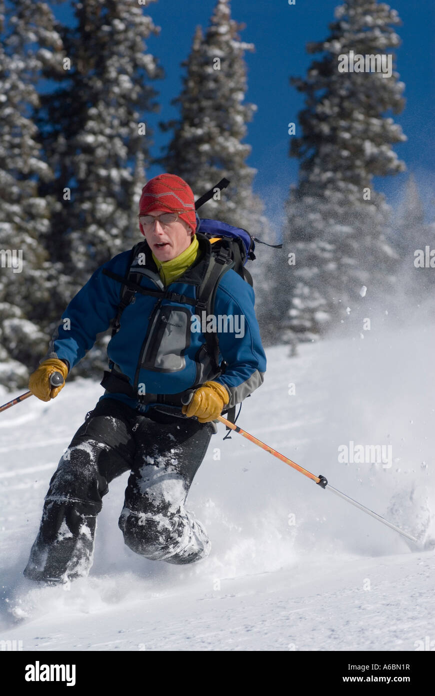 Telemark skiing in backcountry powder near New York Mountain, Colorado ...