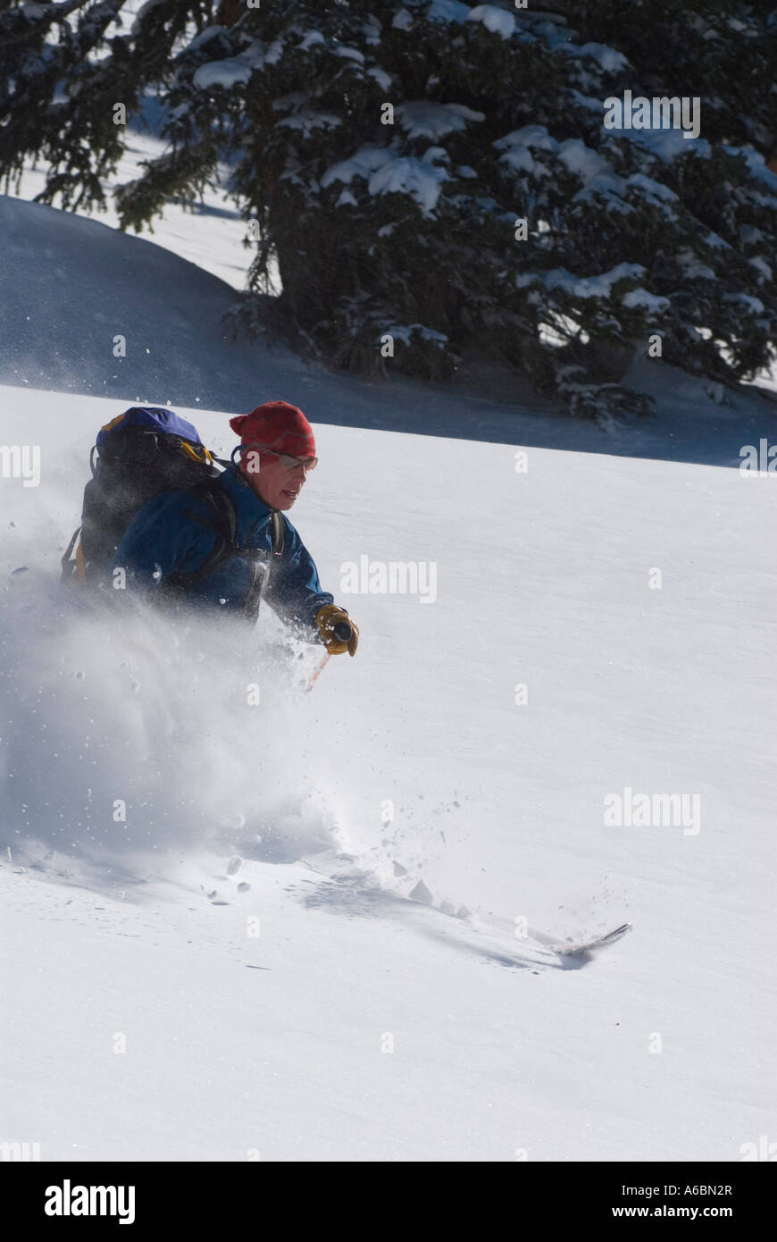 Telemark skiing in backcountry powder near New York Mountain, Colorado ...