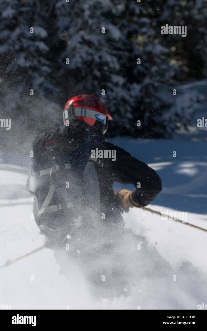 Skiing in backcountry powder near New York Mountain, Colorado Stock ...