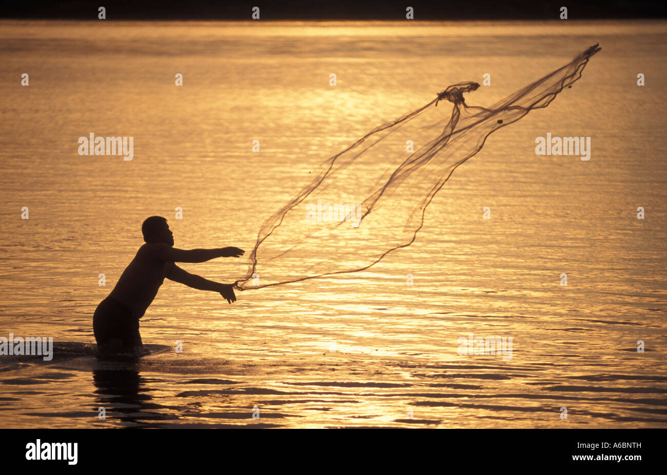 Fisherman throwing his net Mekong River Savannakhet Laos Stock Photo ...