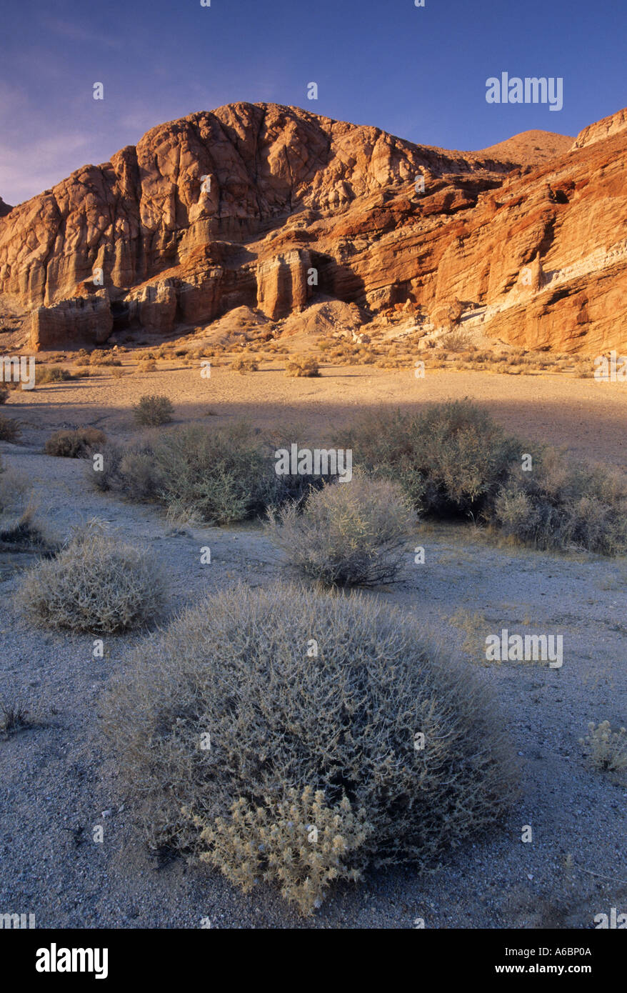 Sunset colors the Red Cliffs in Red Rock Canyon State Park Mojave ...