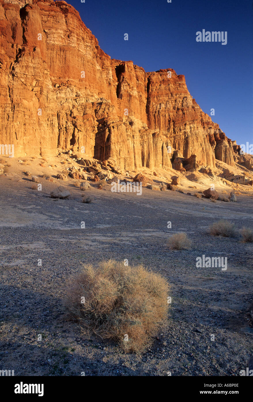 Sunrise colors the Red Cliffs in Red Rock Canyon State Park Mojave ...