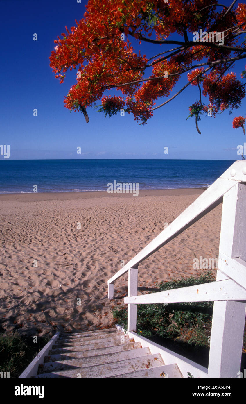 Shelley Beach Hervey Bay Queensland Australia Stock Photo - Alamy