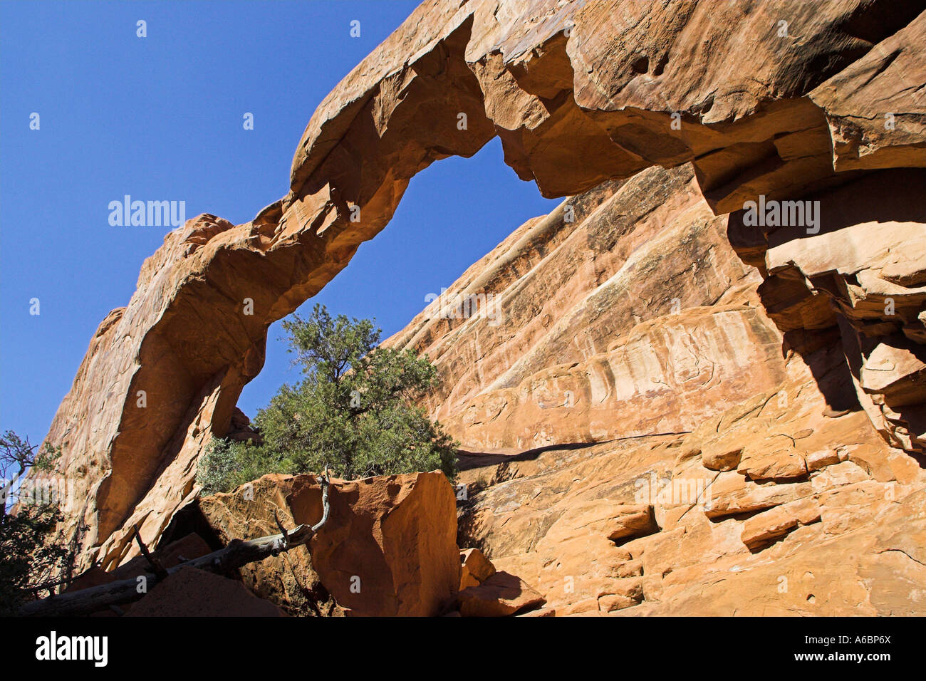 Wall Arch from the Devil s Garden Trail Arches National Park Utah USA ...