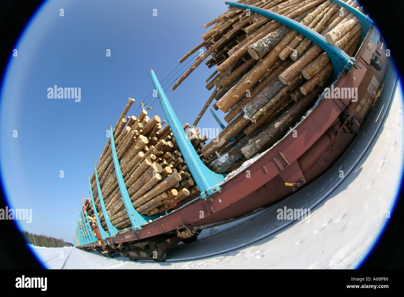 Timber in railroad box cars Stock Photo - Alamy