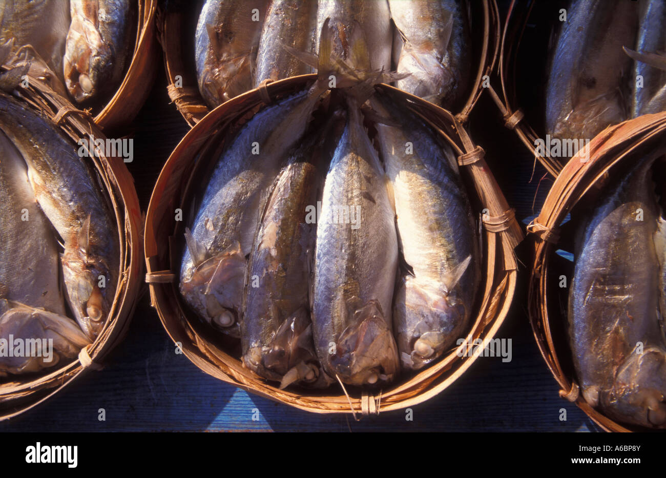 Fish stall at Pai market in Thailand Stock Photo - Alamy