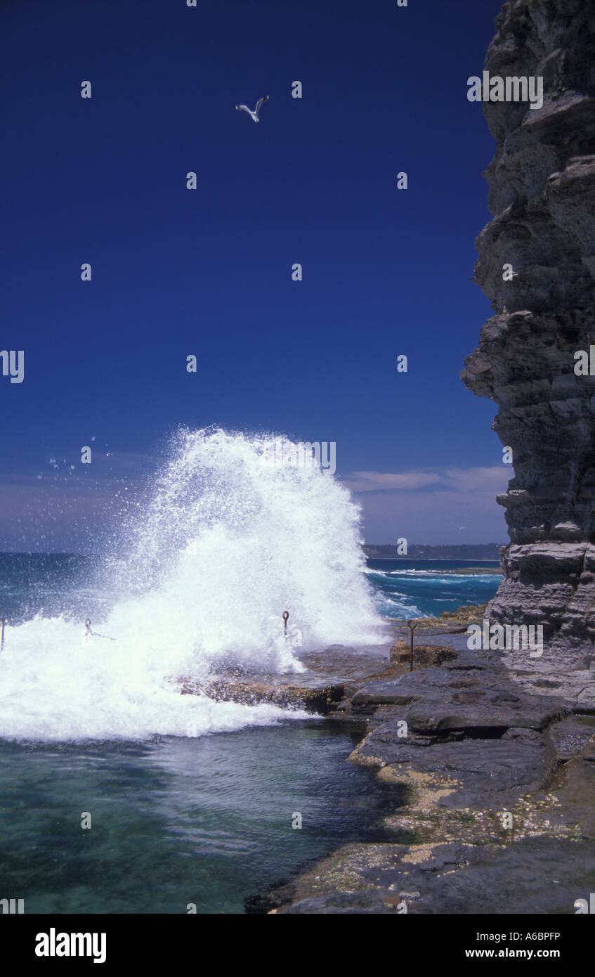 The Bogey Hole Ocean Pool Newcastle New South Wales Australia Stock ...