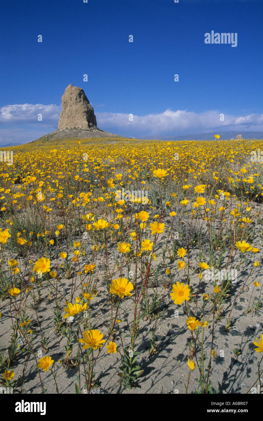 Trona pinnacles national natural landmark hi-res stock photography and ...