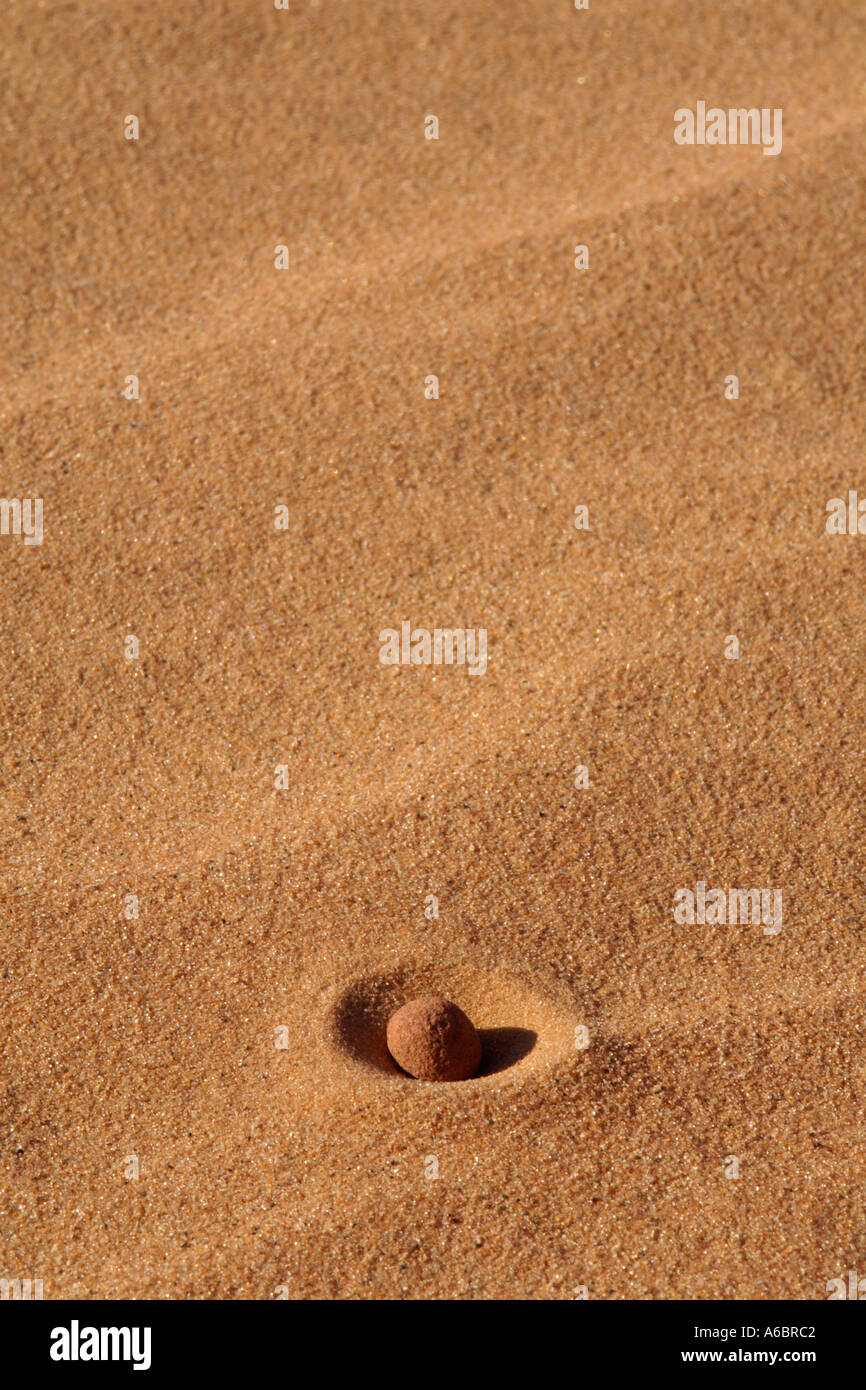 desert marble dropped on sand dune Stock Photo - Alamy