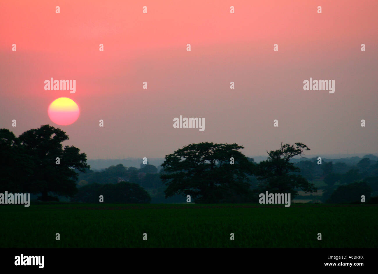 Red sky and sunset over a field in Cheshire, UK Stock Photo - Alamy
