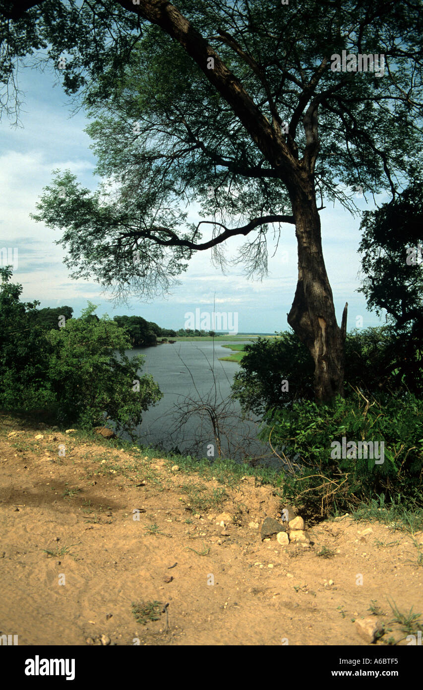 Chobe Riverfront Chobe National Park Botswana Stock Photo - Alamy