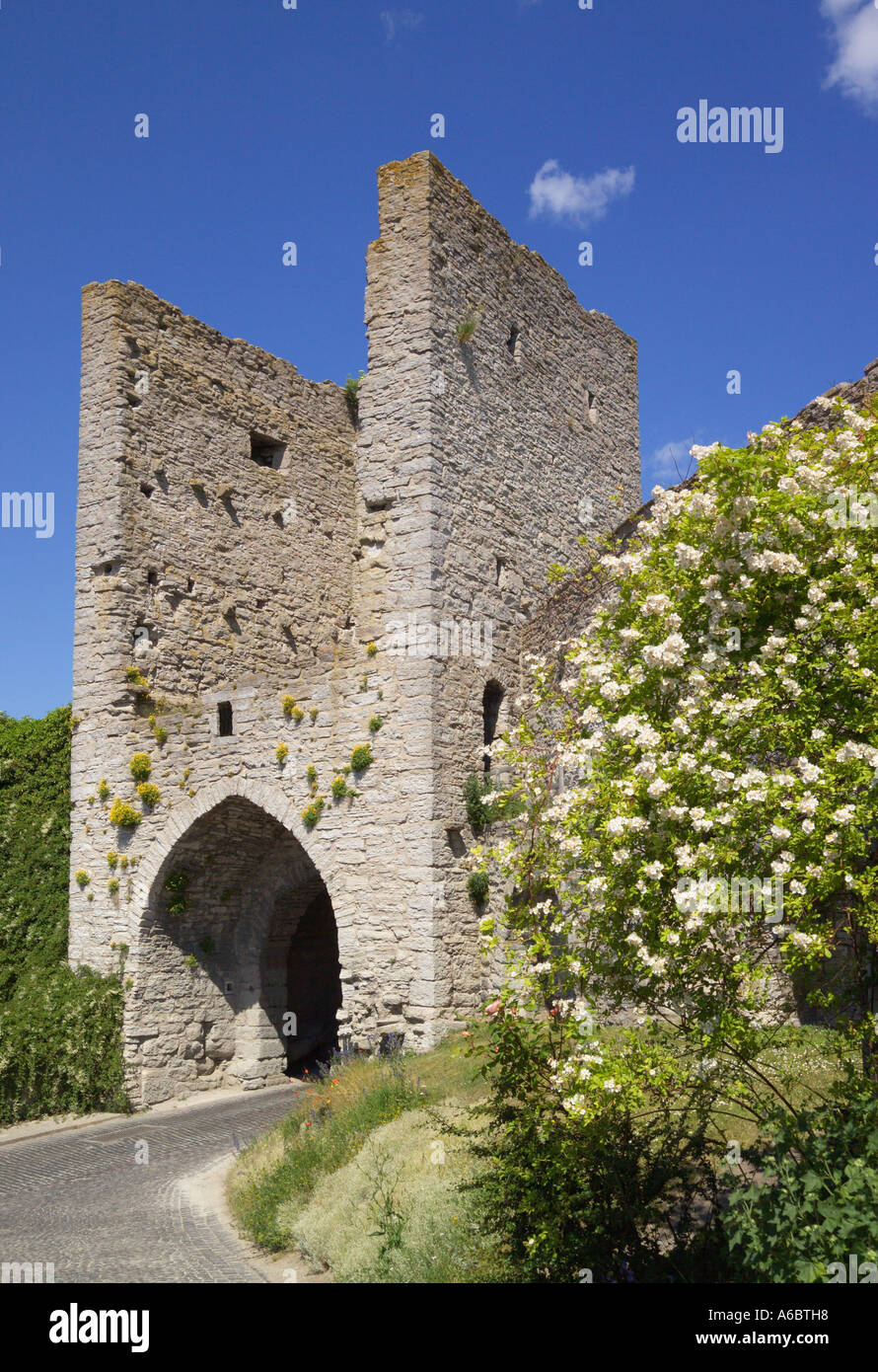 Walls and Gate of the Town of Visby Gotland Sweden Stock Photo - Alamy
