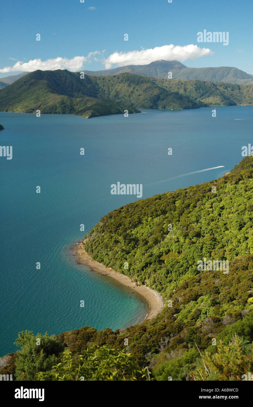 Curved coastline Queen Charlotte Sound New Zealand Stock Photo - Alamy