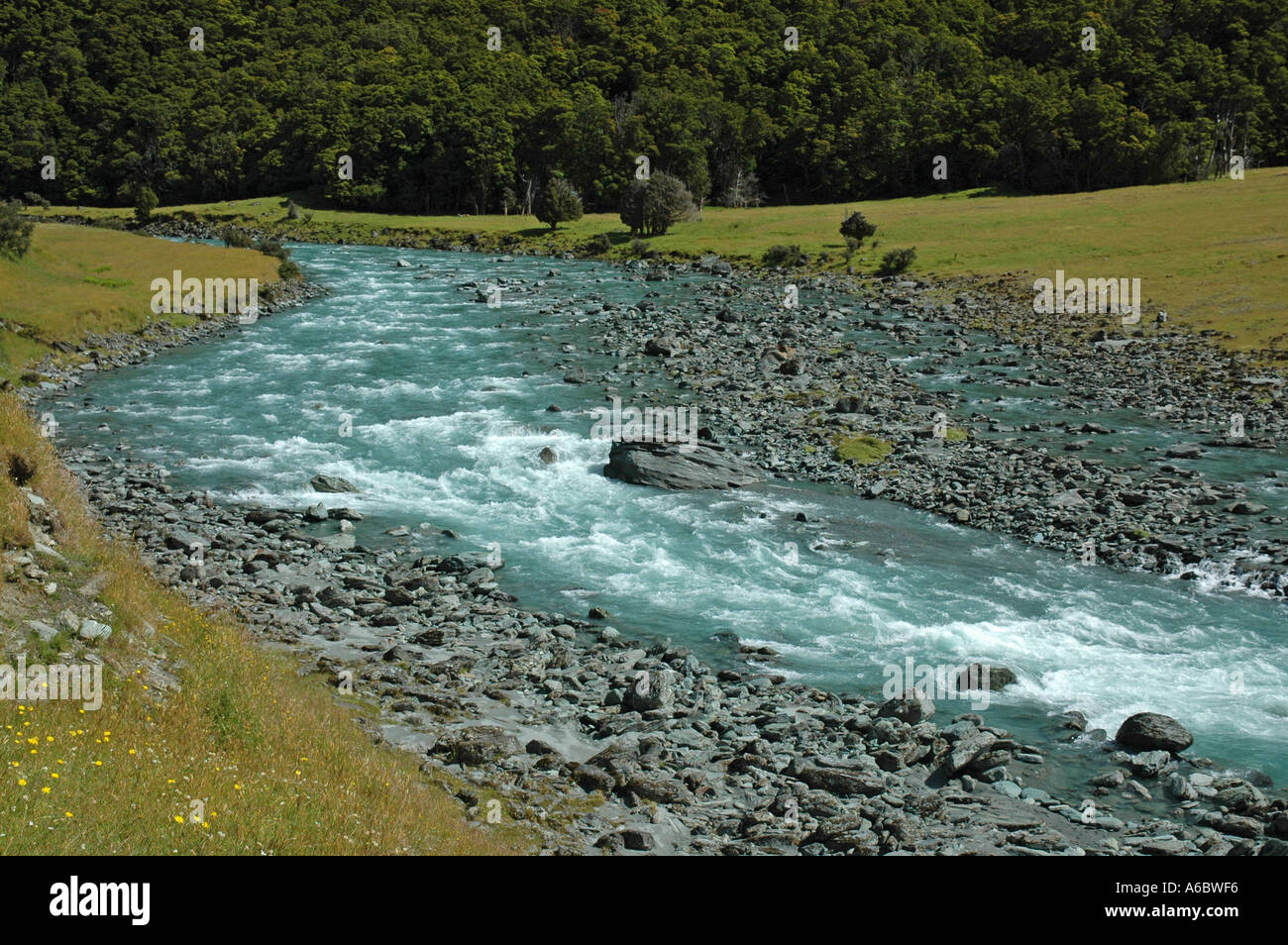 East Matukituki Valley Aspiring National Park New Zealand Stock Photo ...