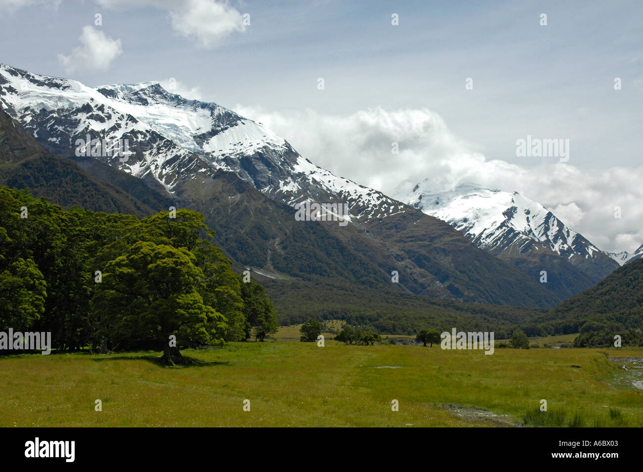 East Matukituki Valley Mt Aspiring National Park New Zealand Stock ...