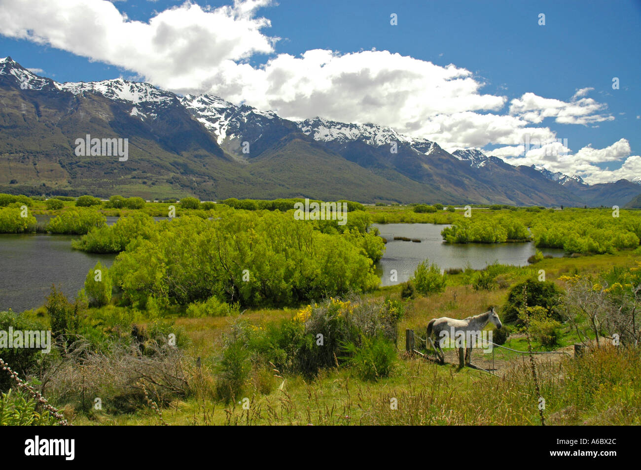 Horse trekking new zealand hi-res stock photography and images - Alamy