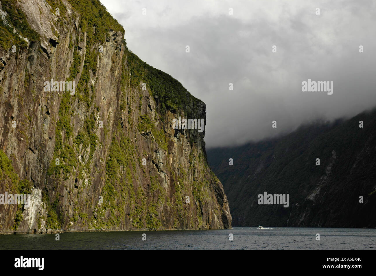 Sheer rock wall in the Milford Sound New Zealand Stock Photo - Alamy