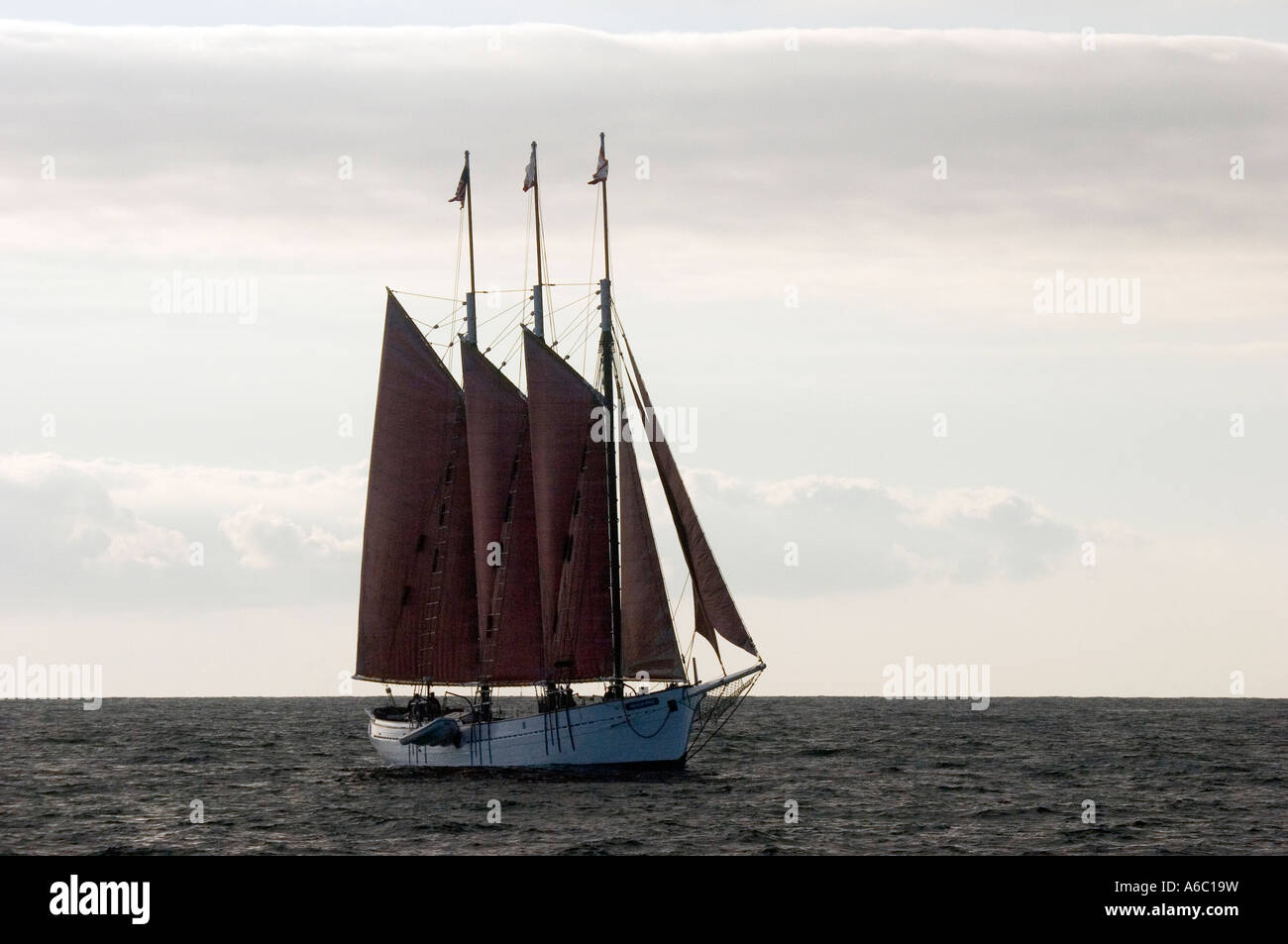 The three-masted schooner American Pride sails in the waters of the ...