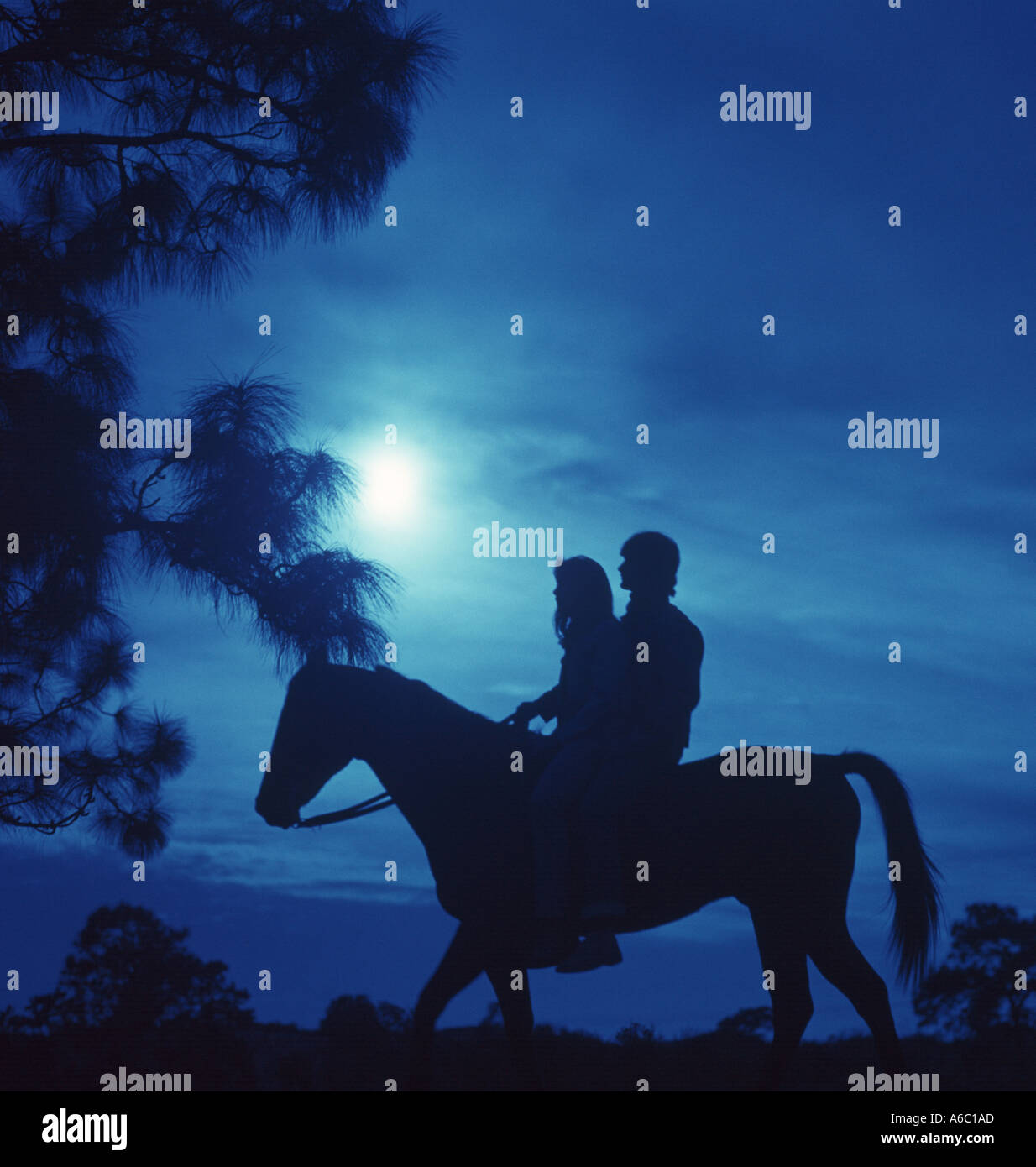 couple riding horse in moonlight Stock Photo - Alamy