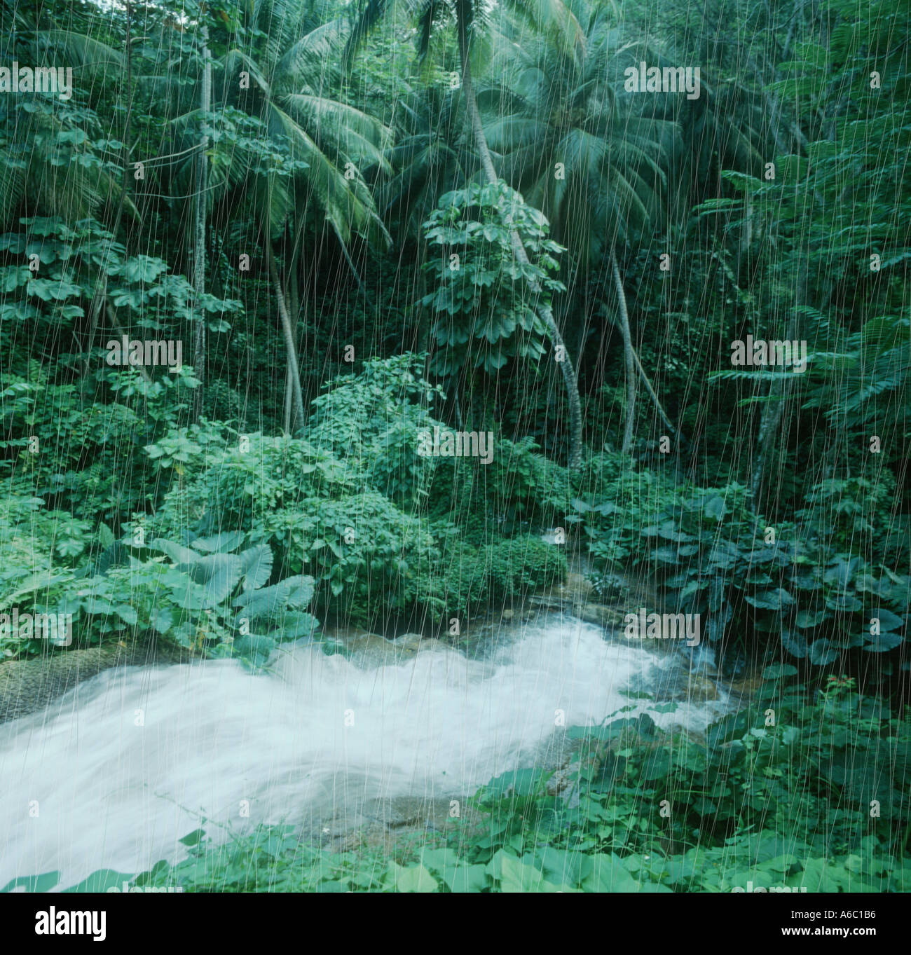 Gardens jamaica hi-res stock photography and images - Alamy