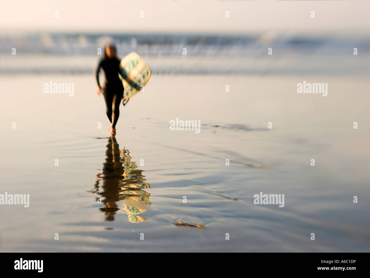 A single female surfer carries her surfboard back to the beach Stock ...