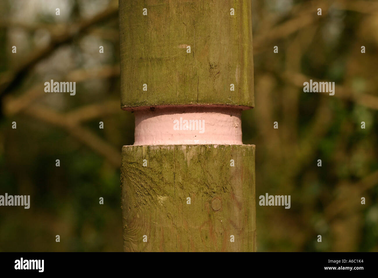 Forestry mark hi-res stock photography and images - Alamy