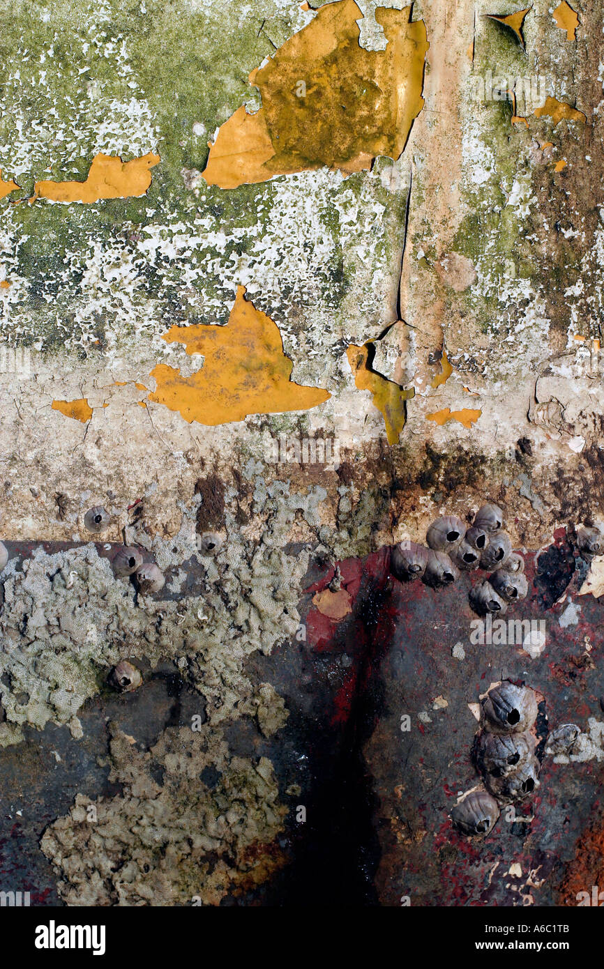 flaking paint and barnacles on hull of old boat Stock Photo - Alamy