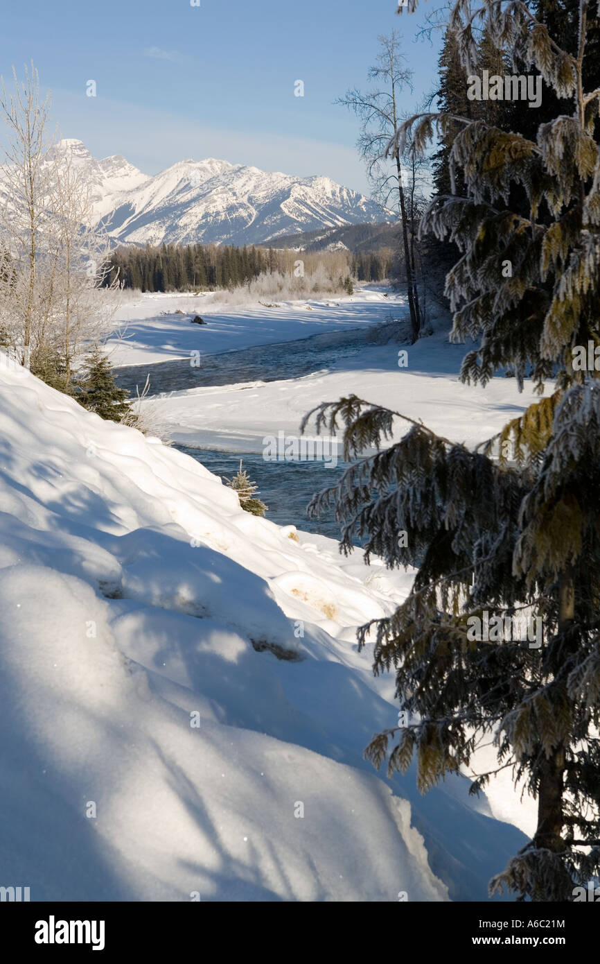 Scene along the Elk river in southern British Columbia Stock Photo - Alamy