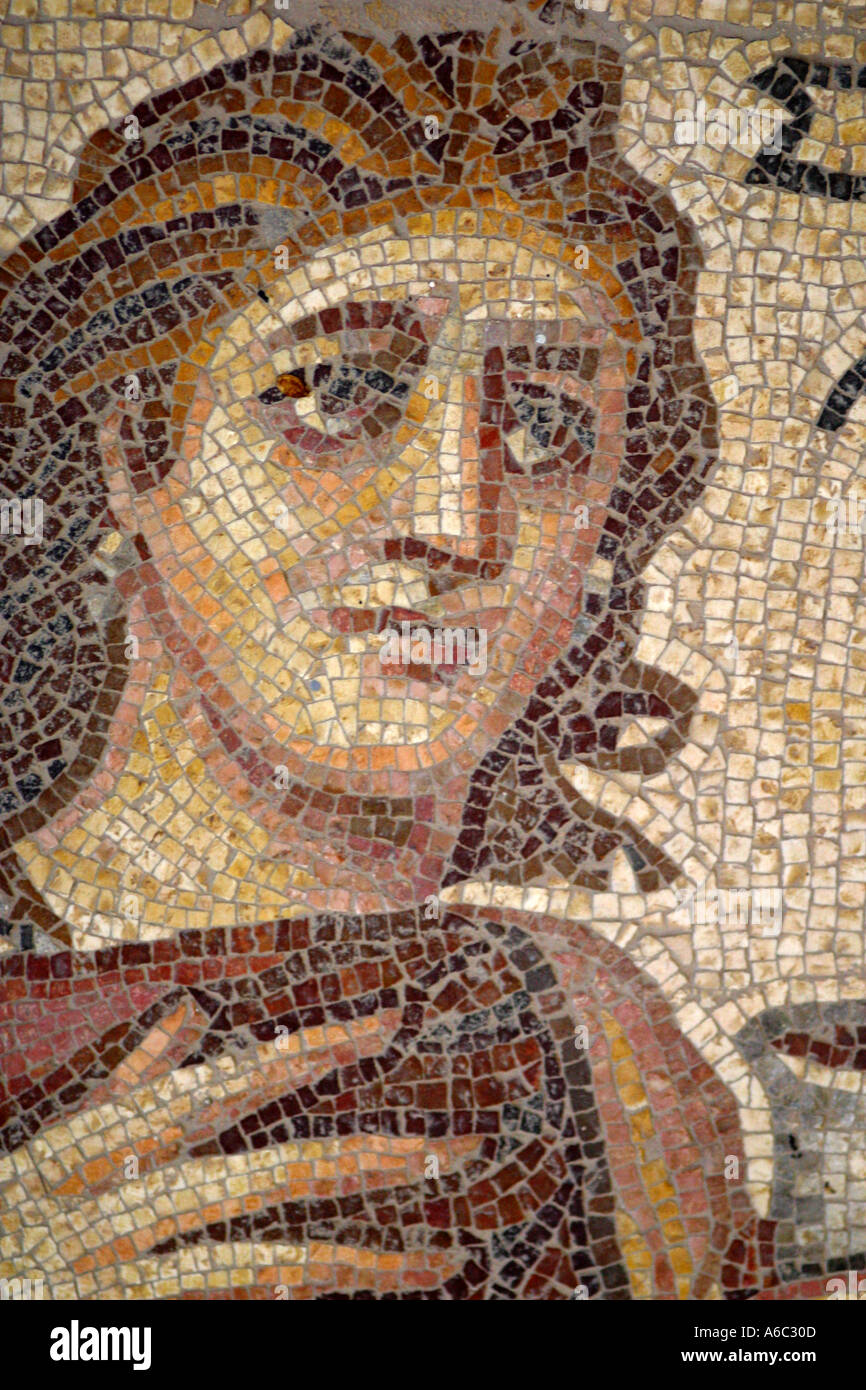 Mosaic roman camel hi-res stock photography and images - Alamy