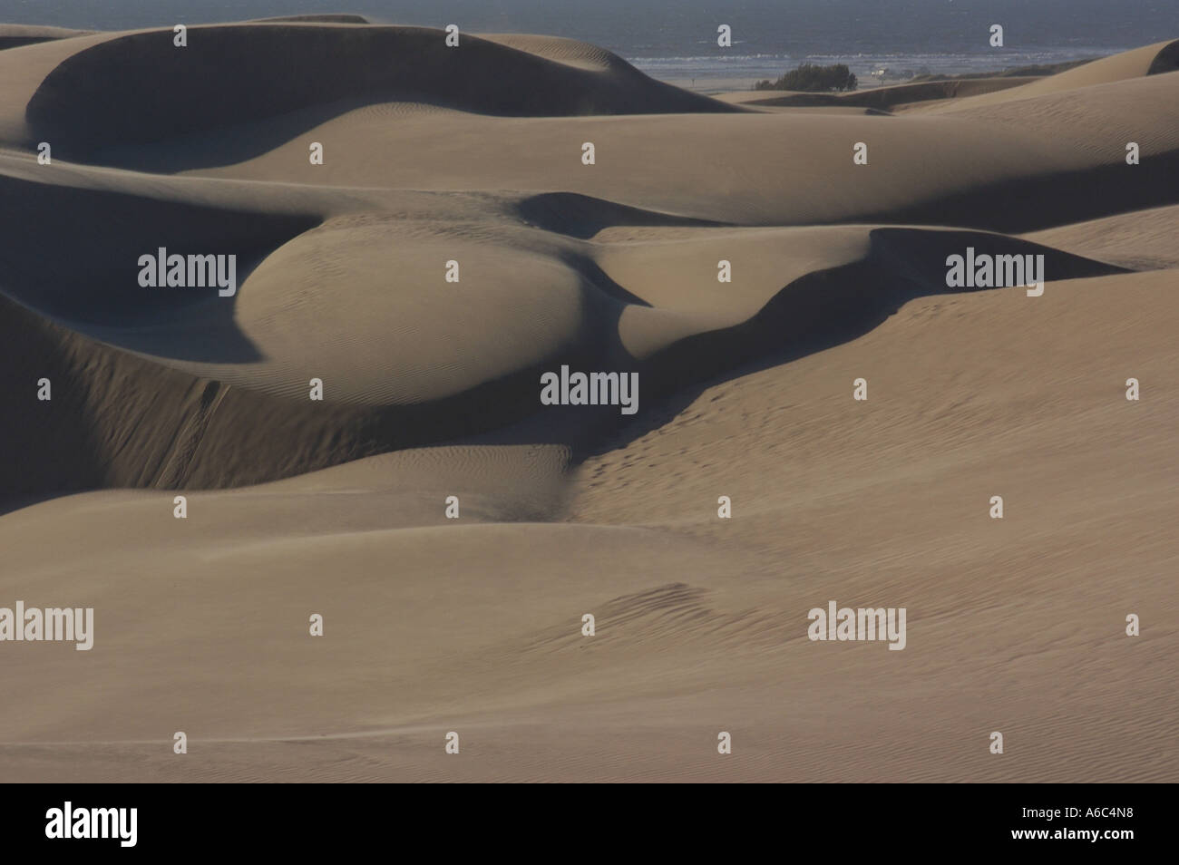 Oceano Sand Dunes Stock Photo - Alamy