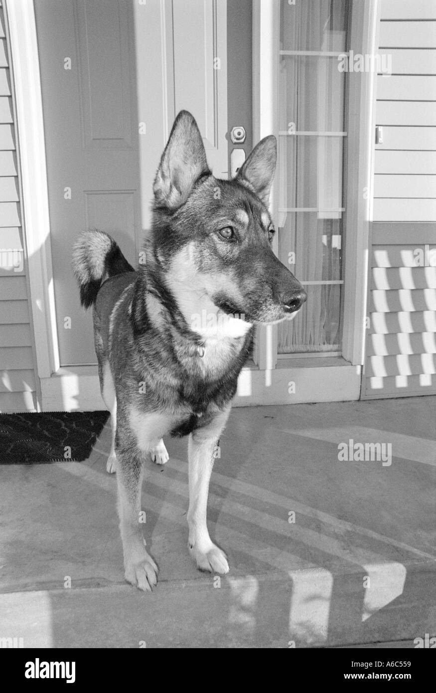 Large porch Black and White Stock Photos & Images - Alamy