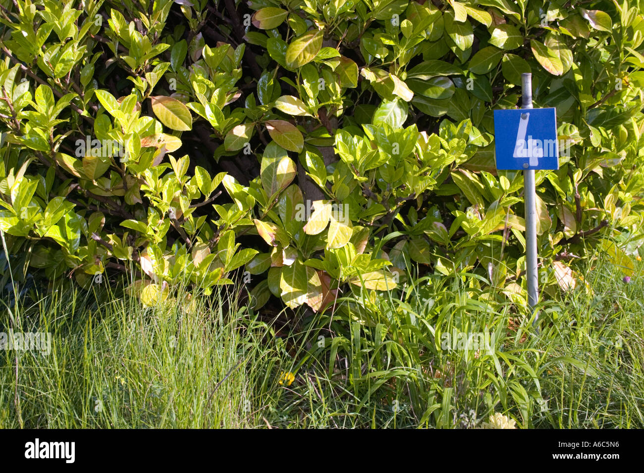 campsite marker post Stock Photo - Alamy
