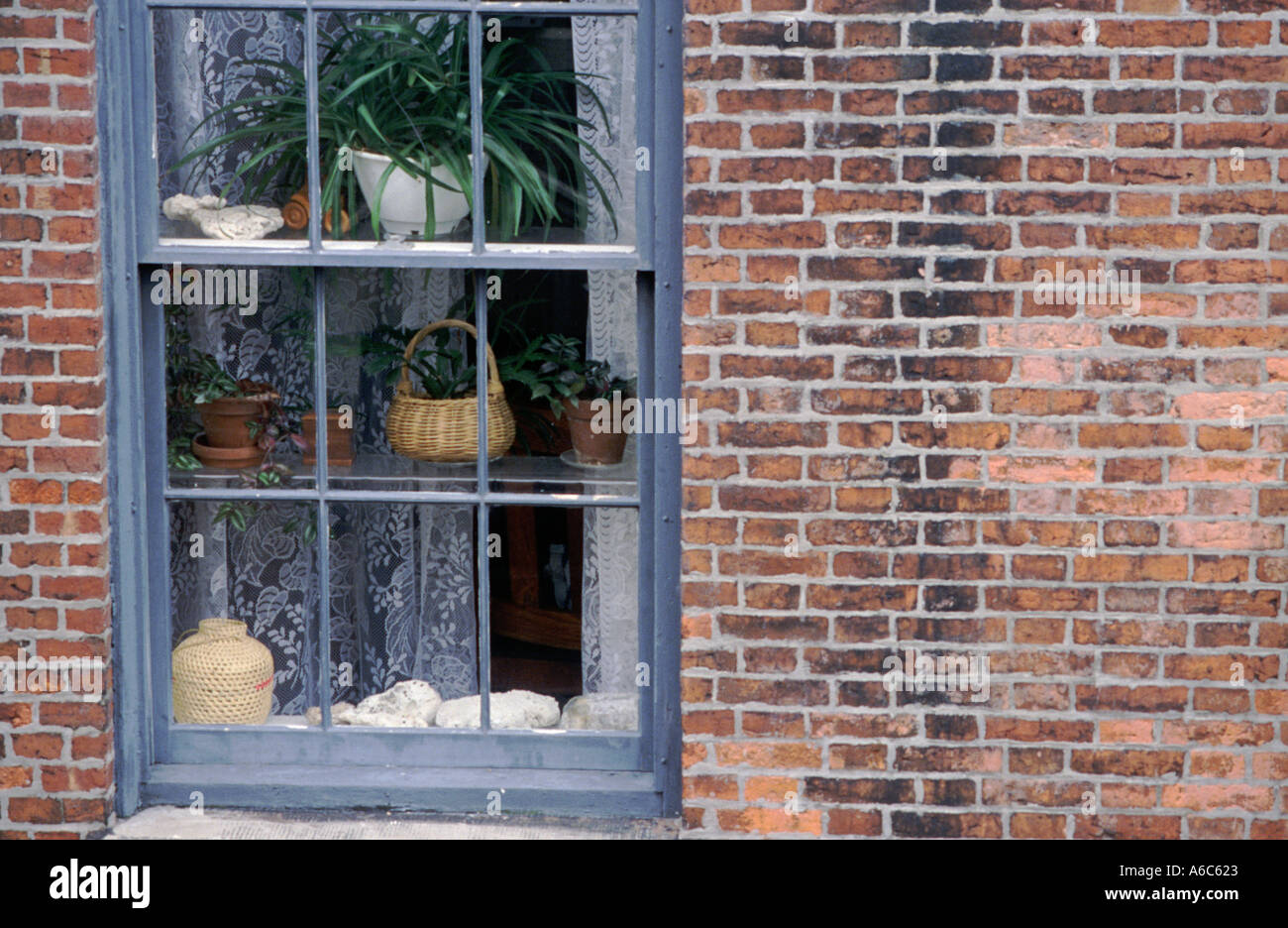 Plants facing window hi-res stock photography and images - Alamy