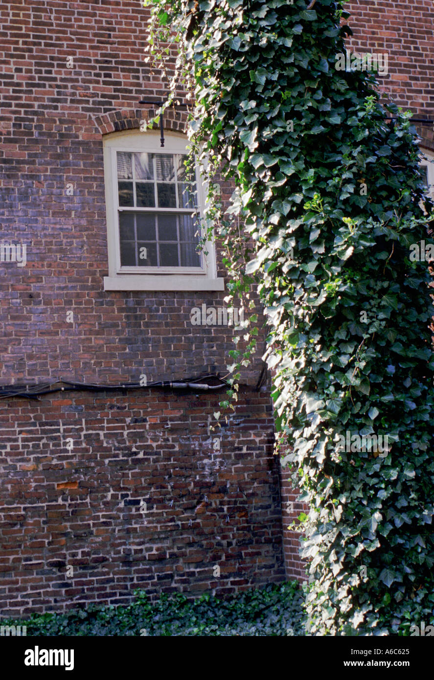Brick ivy league building hi-res stock photography and images - Alamy