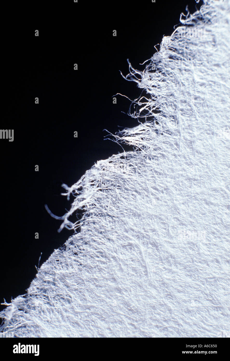 Bond paper hi-res stock photography and images - Alamy