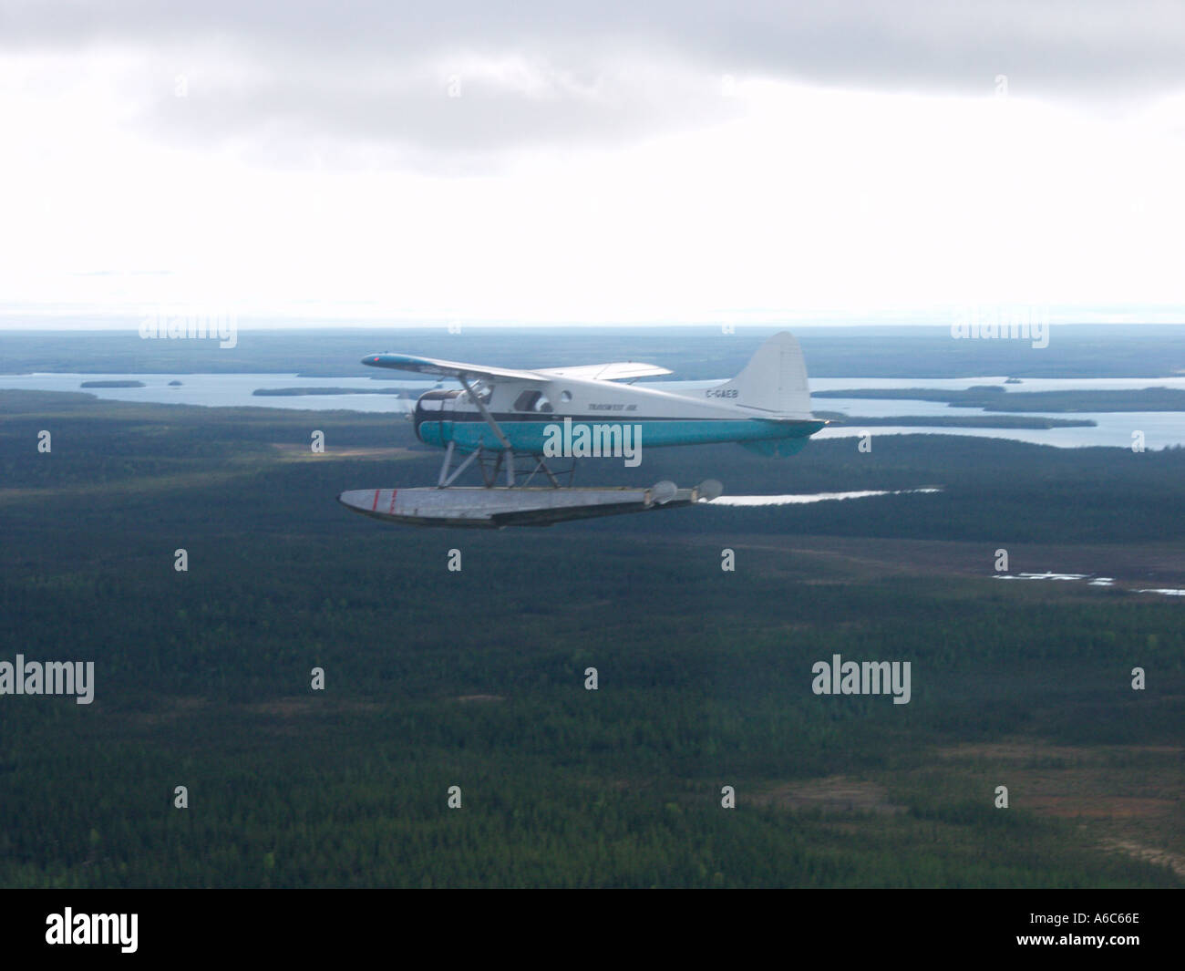 DeHaviline Beaver in Flight Stock Photo - Alamy
