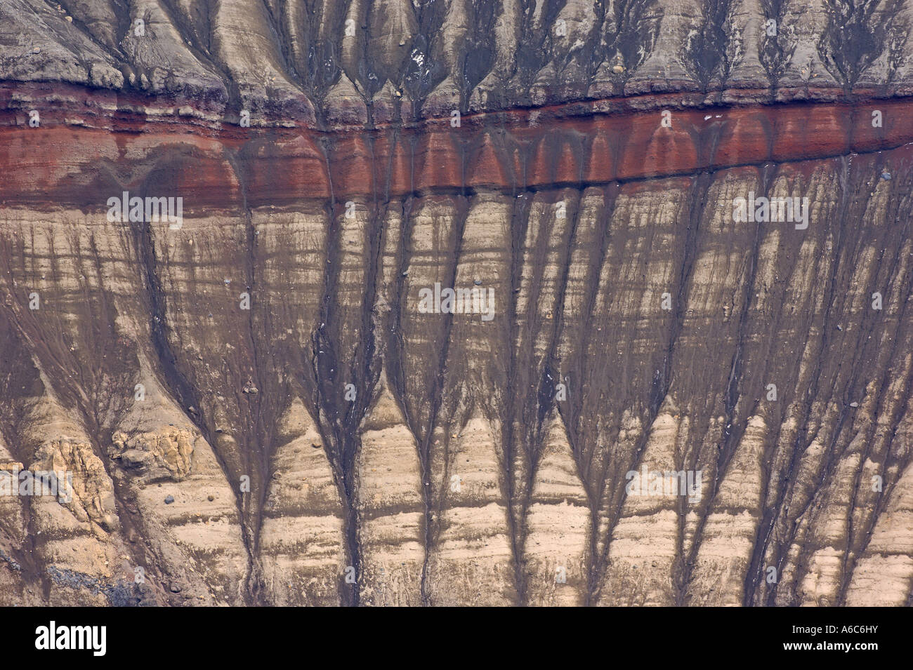 Volcanic ash deposits at Deception Island South Shetland Isles ...